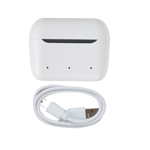 Extra Charging Case & Cable (Micro CIC Rechargeable) – The Hearing Co.